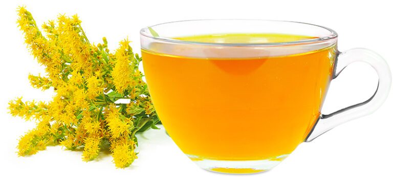Goldenrod Benefits: Historical Uses and How to Take It - Discount ...