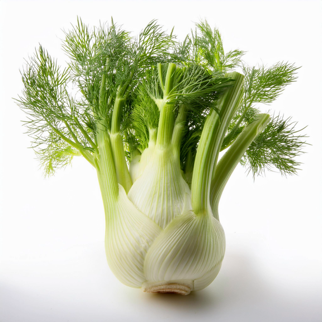 The Uses and Benefits of Fennel - Discount Remedies Inc